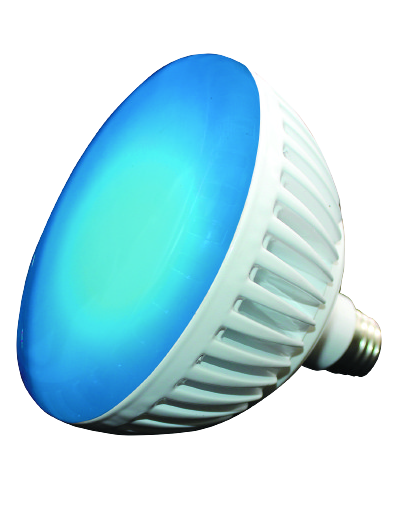 Hayward Partner Portal