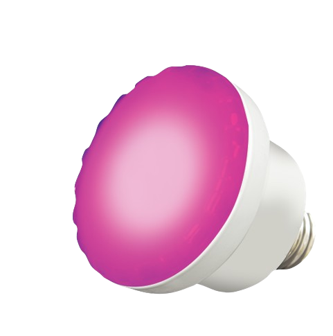 Hayward Partner Portal